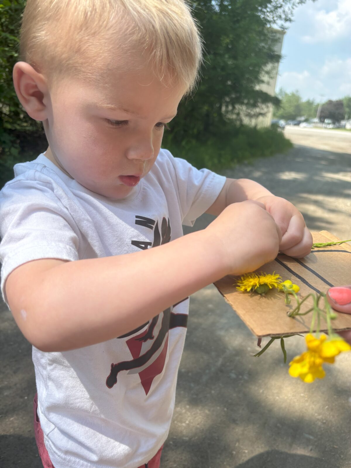 Early Learning Center - Old Town-Orono YMCA
